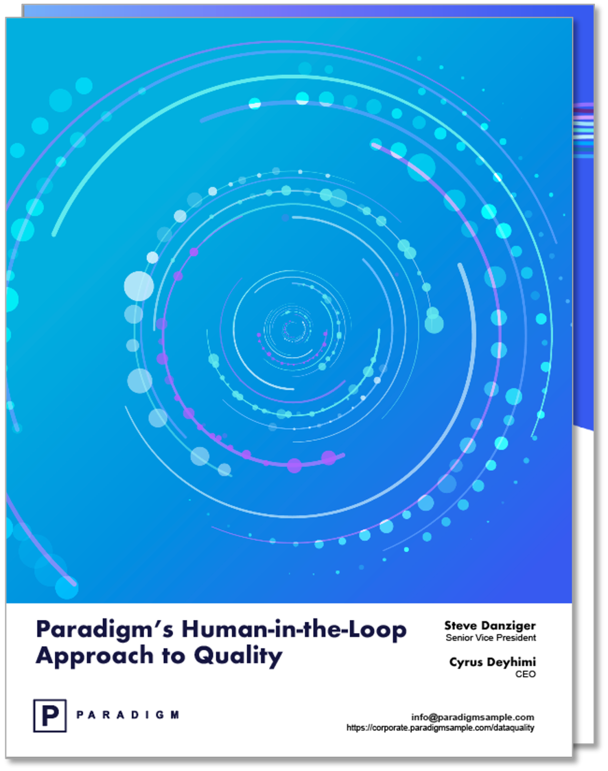 Data Quality Expertise - Paradigm Sample